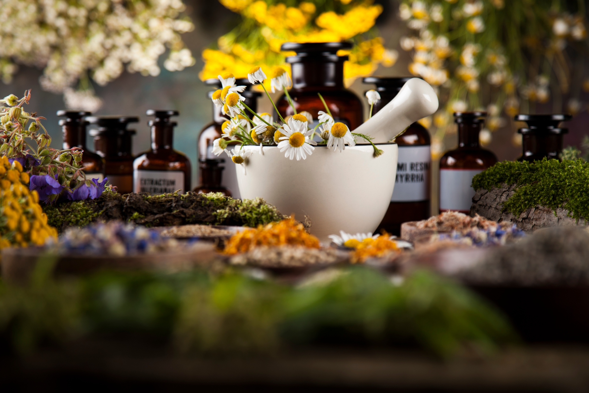 Nutritional Wisdom: Integrating Holistic Approaches With a Naturopath ...